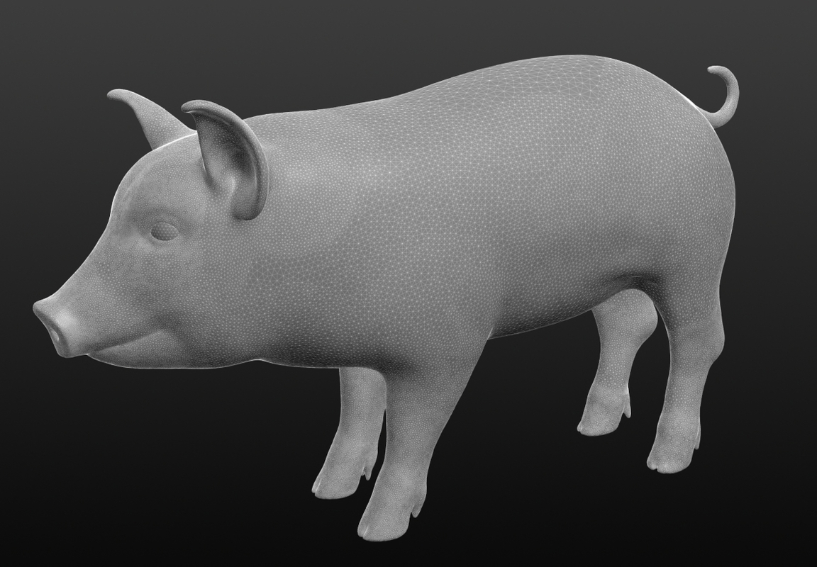 3D piggy base mesh model - TurboSquid 1412331