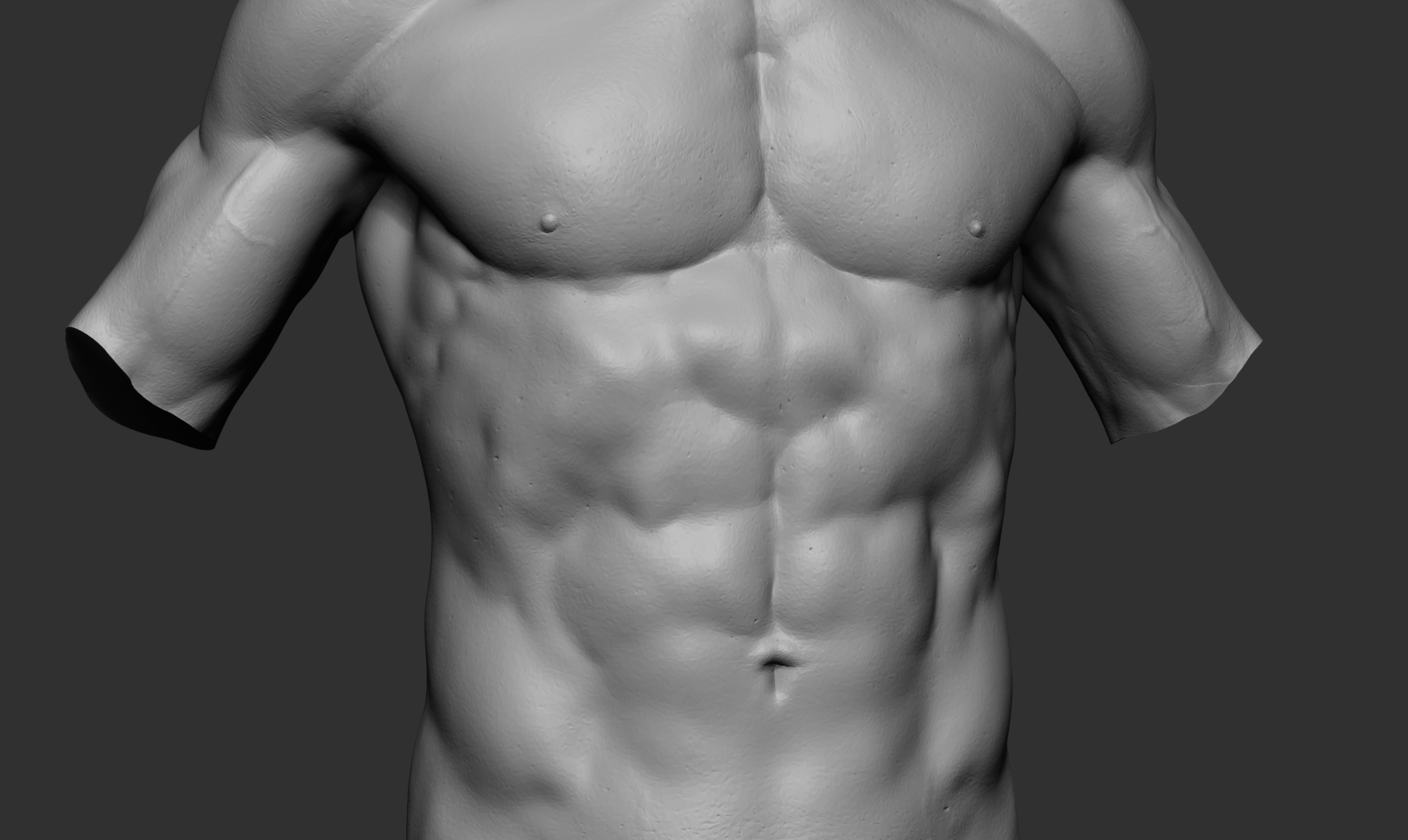 modelo 3d Torso masculino v3 - TurboSquid 1412944