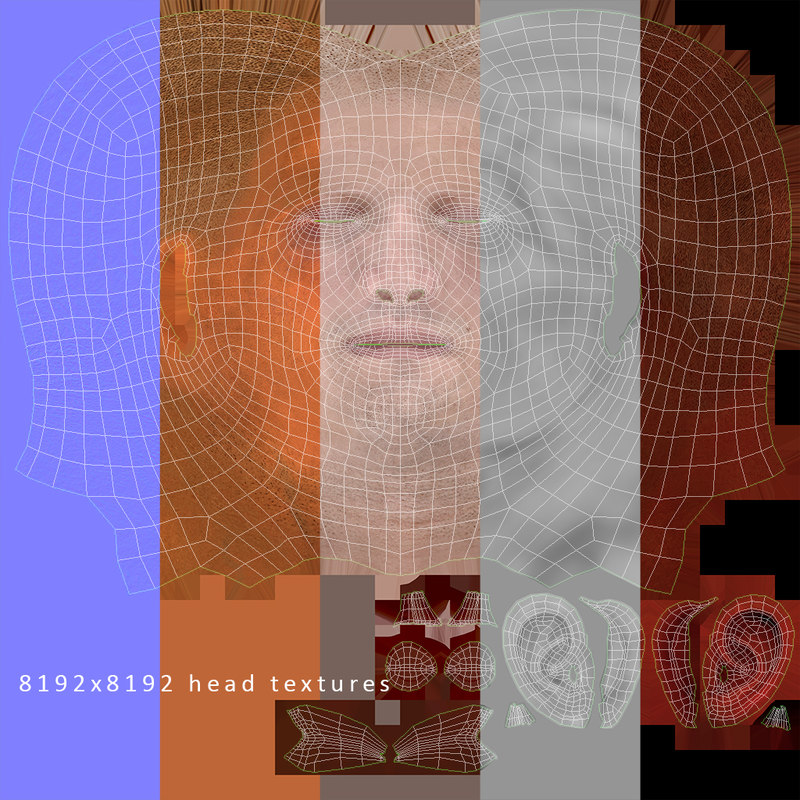 3D photorealistic human head realistic model - TurboSquid 1413363