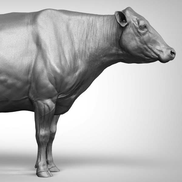 Modelos de 3D Vaca | TurboSquid