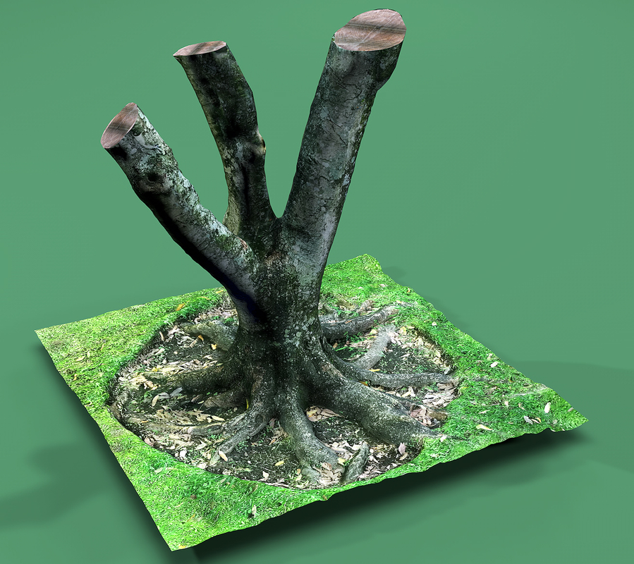 3d Tree Trunk Model Turbosquid 1413933