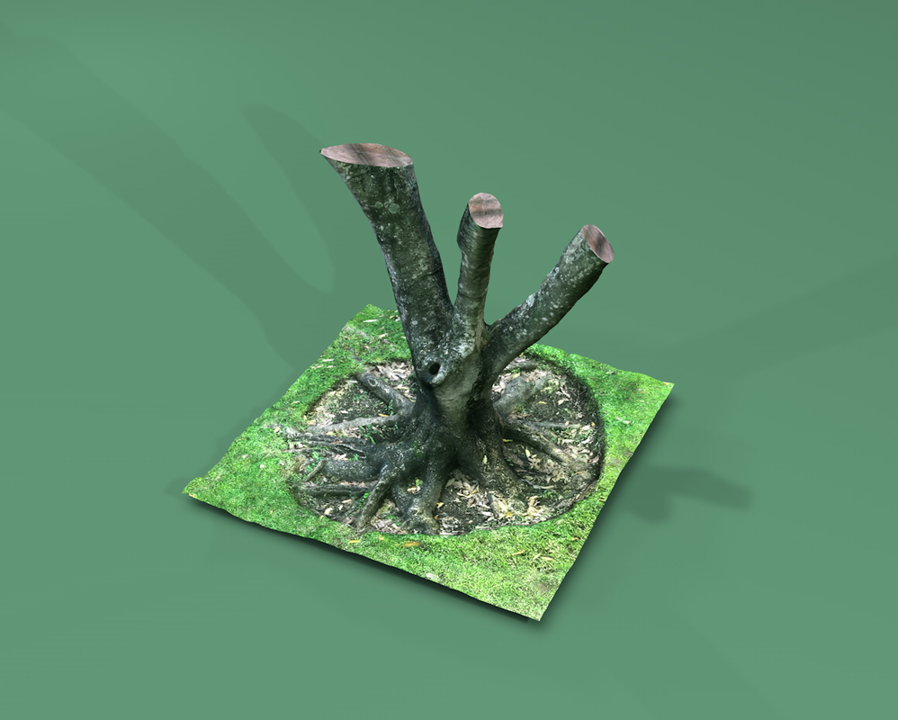 3d Tree Trunk Model Turbosquid 1413933