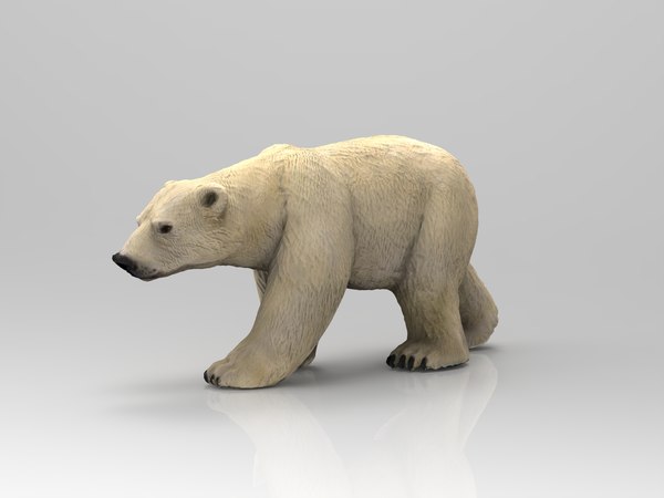 Polar Bear STL Models for Download | TurboSquid