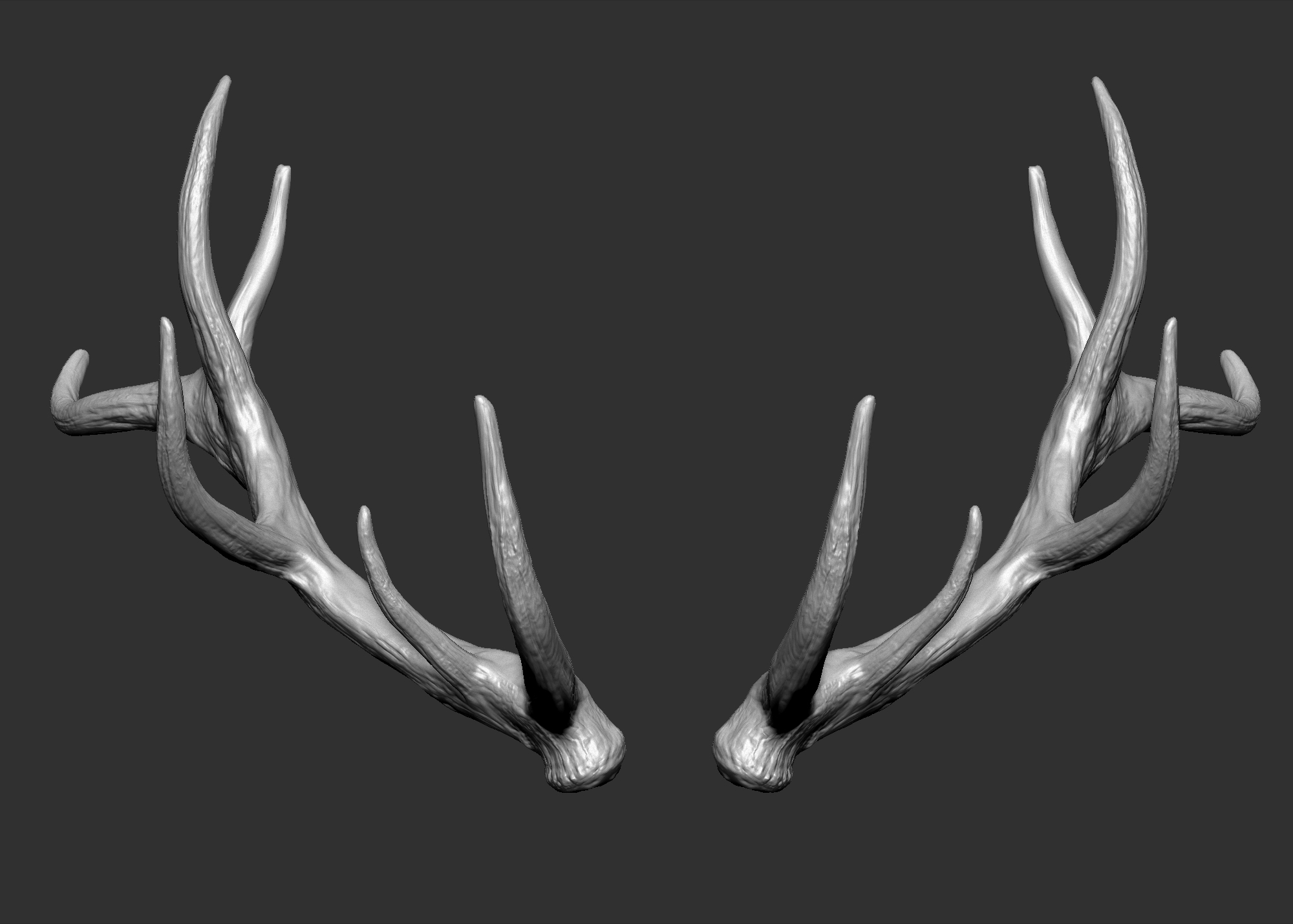 3D deer horns - TurboSquid 1414033