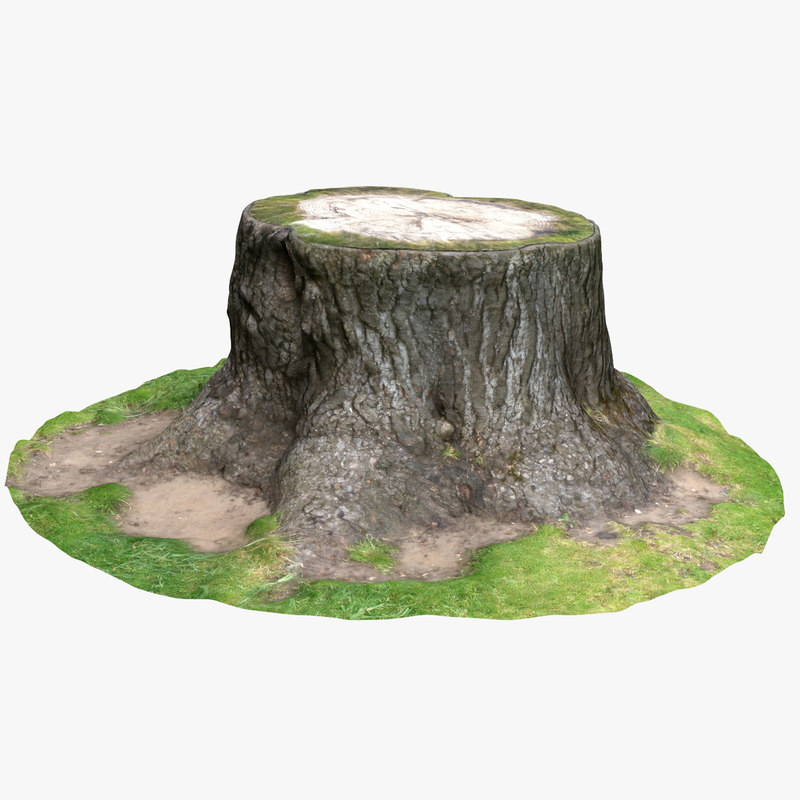 Free tree stump 3D model - TurboSquid 1415451