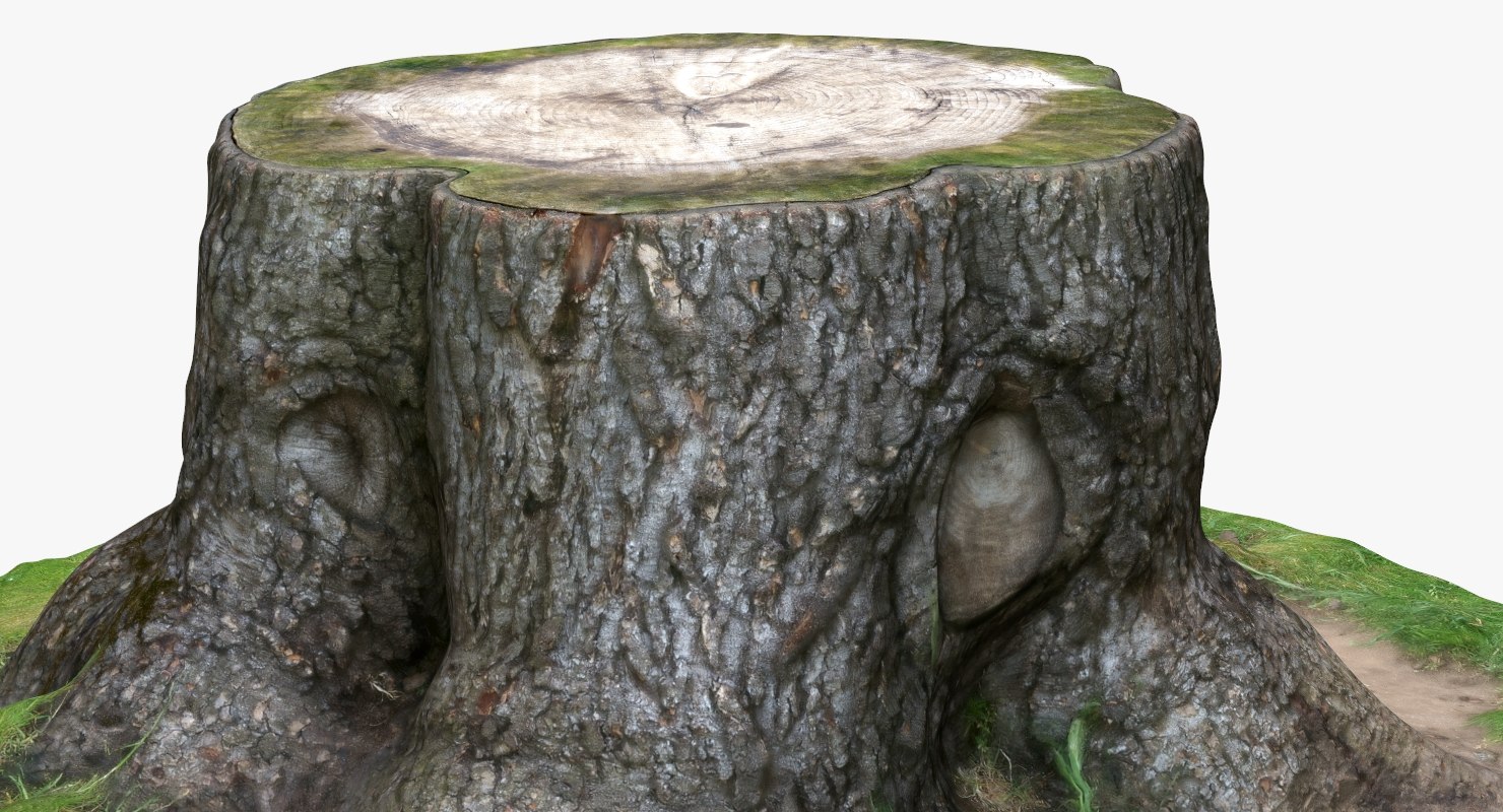 Free tree stump 3D model - TurboSquid 1415451