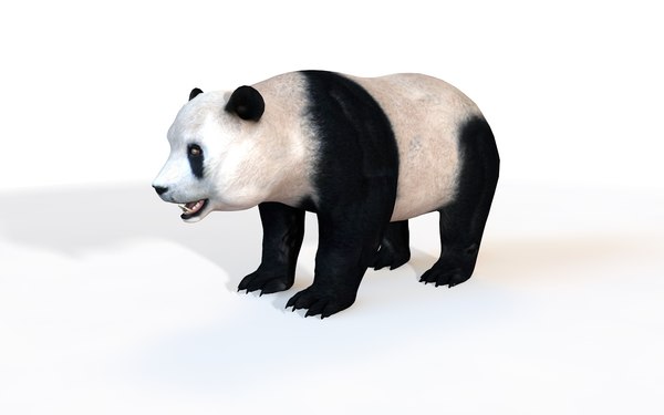 Oso Panda 3D Modelos para Descargar | TurboSquid