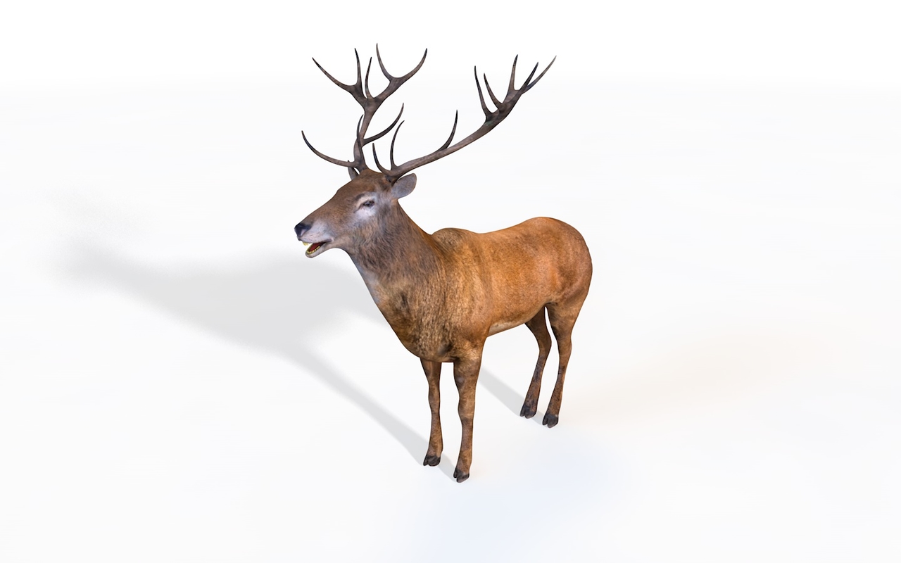 Deer STL Models for Download | TurboSquid