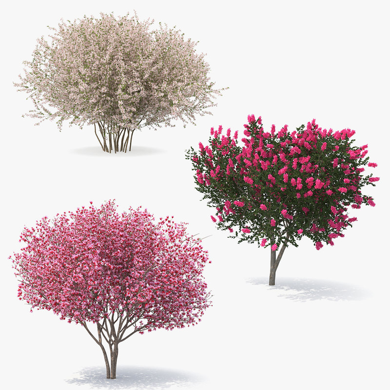 3D flowering bushes trees - TurboSquid 1415371