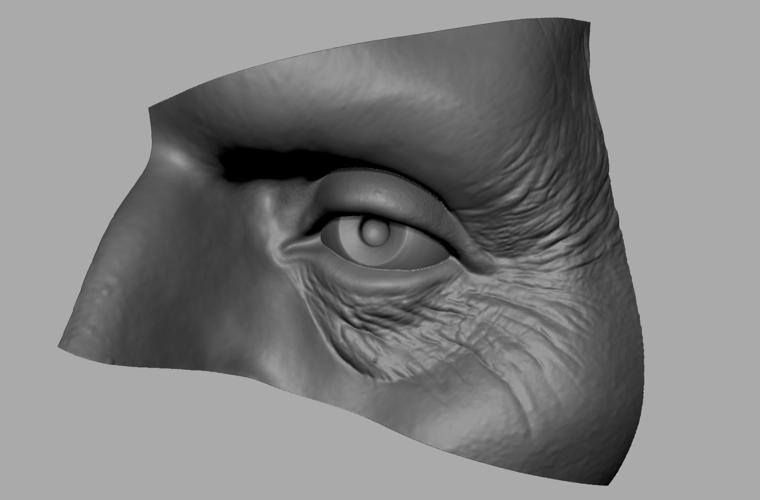 Eye eyelids 3dprint 3D model - TurboSquid 1415852