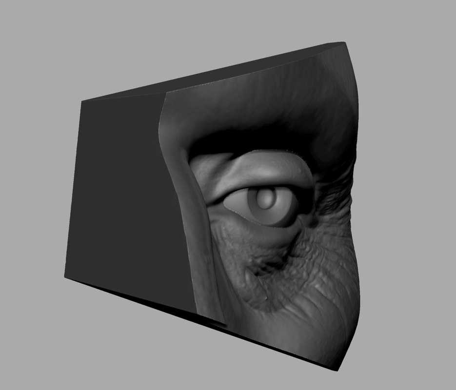 Eye eyelids 3dprint 3D model - TurboSquid 1415852