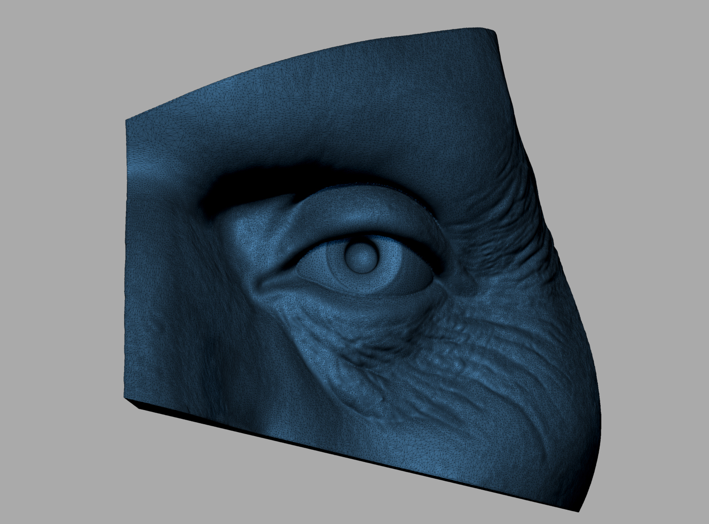 Eye eyelids 3dprint 3D model - TurboSquid 1415852