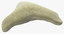 3D fossil shark teeth model - TurboSquid 1416211