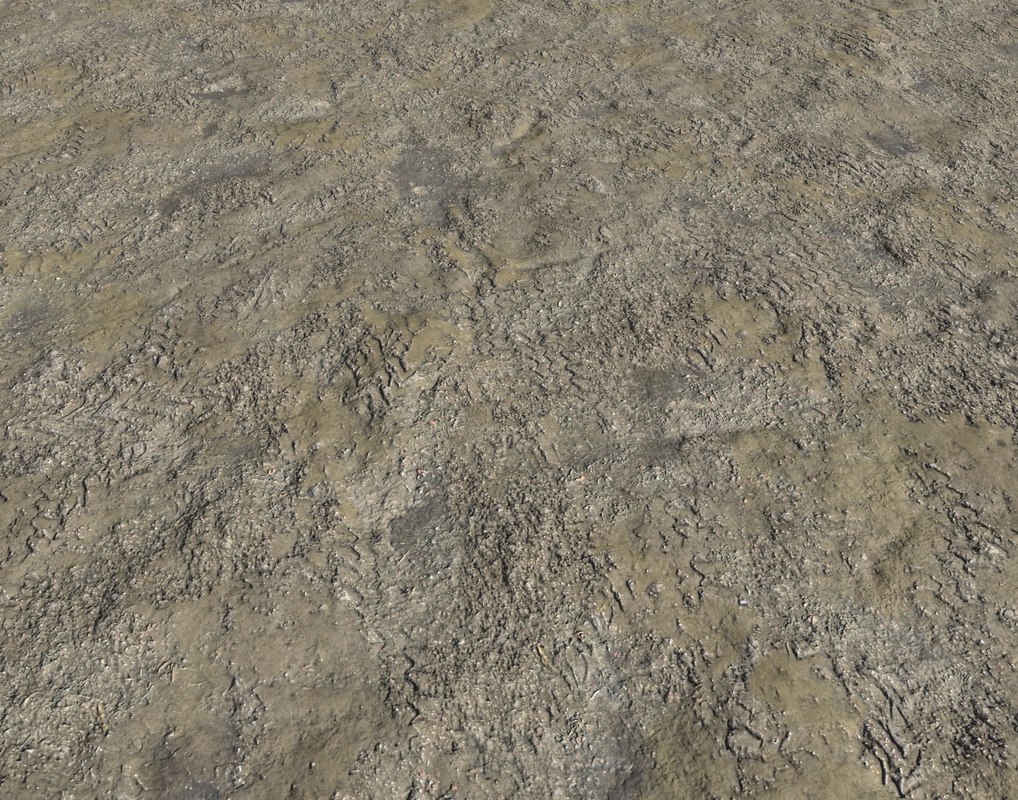 Texture PNG mud terrain muddy