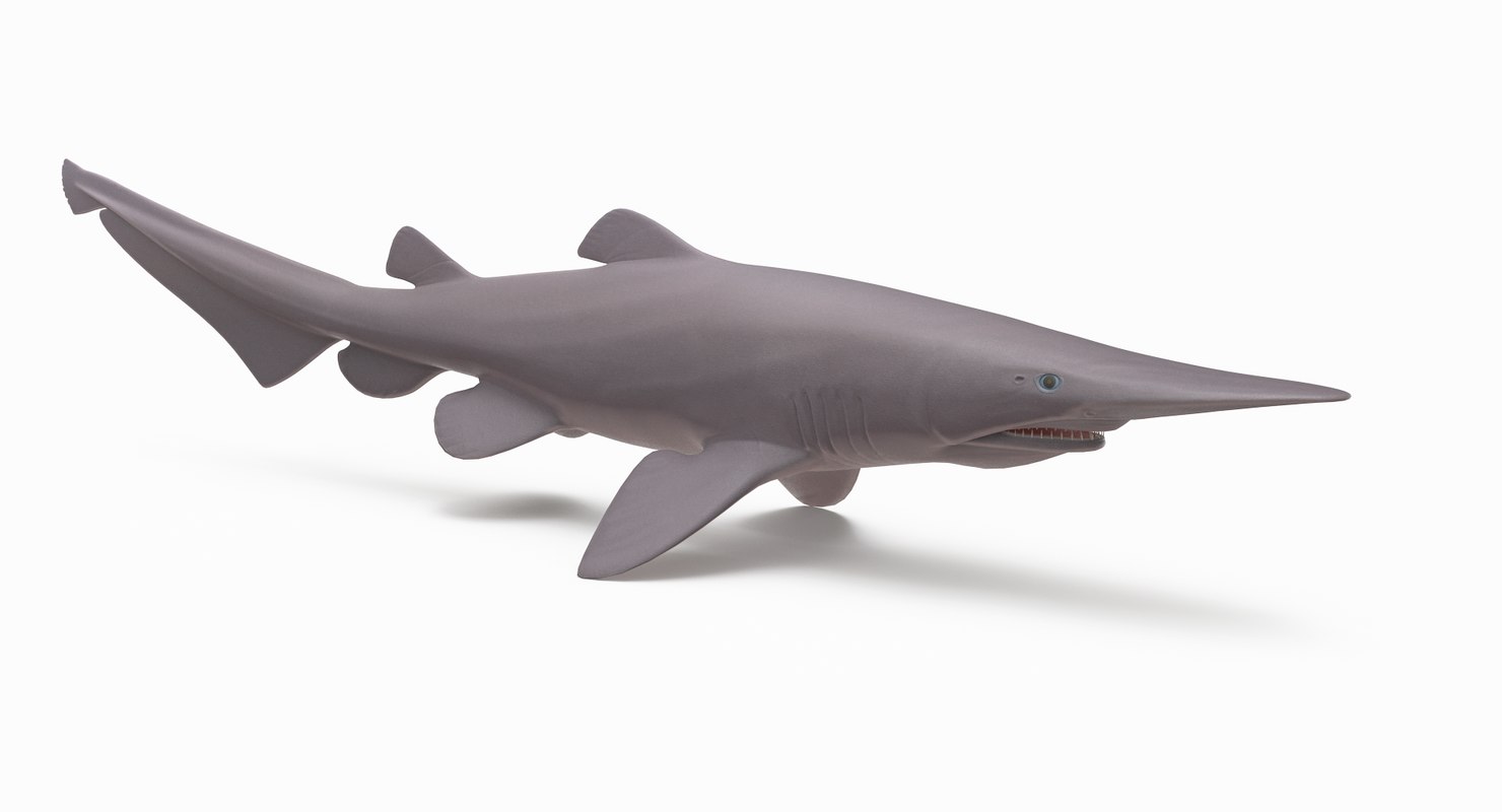 Koboldhai 3D-Modell - TurboSquid 1417221