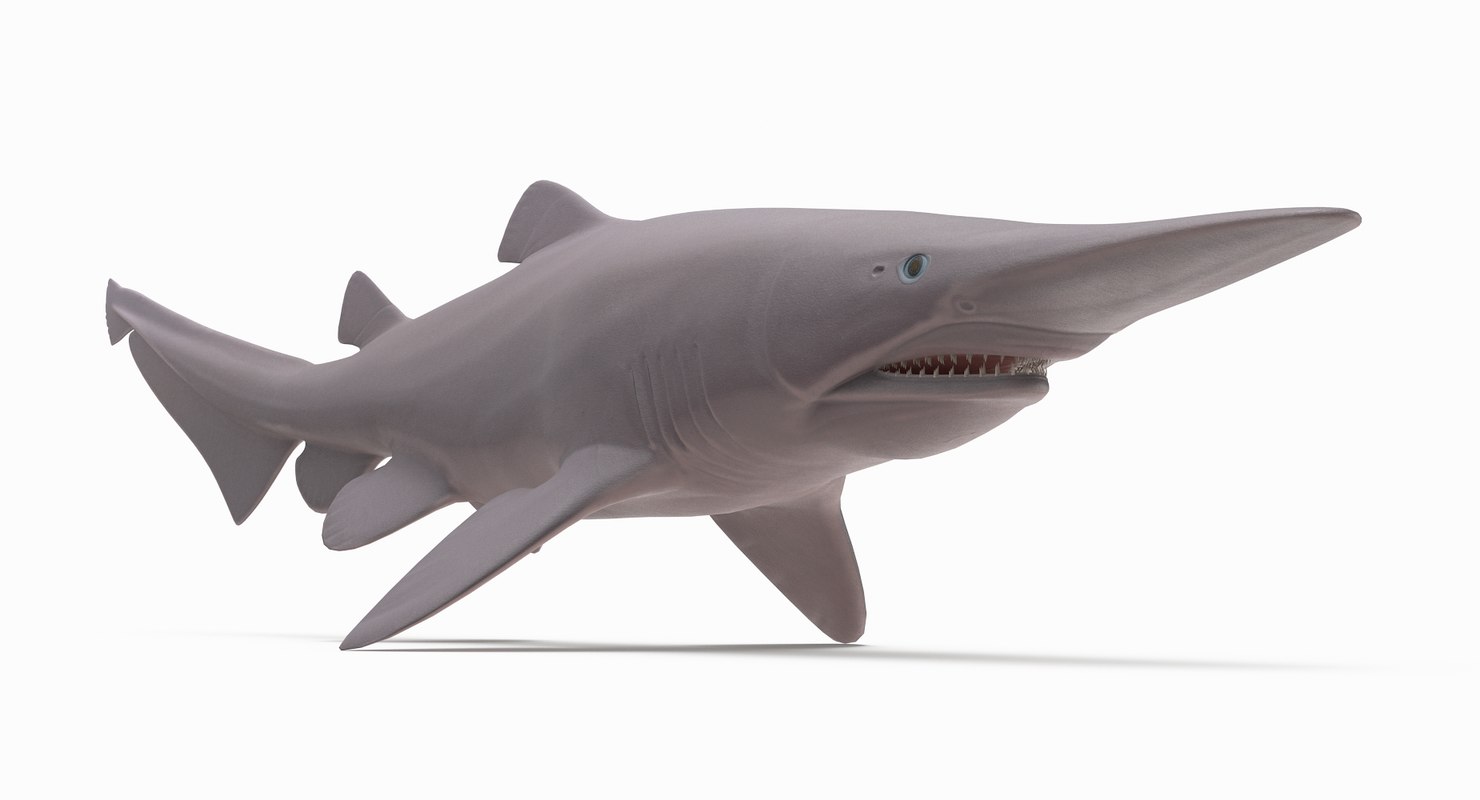3D goblin shark model - TurboSquid 1417221
