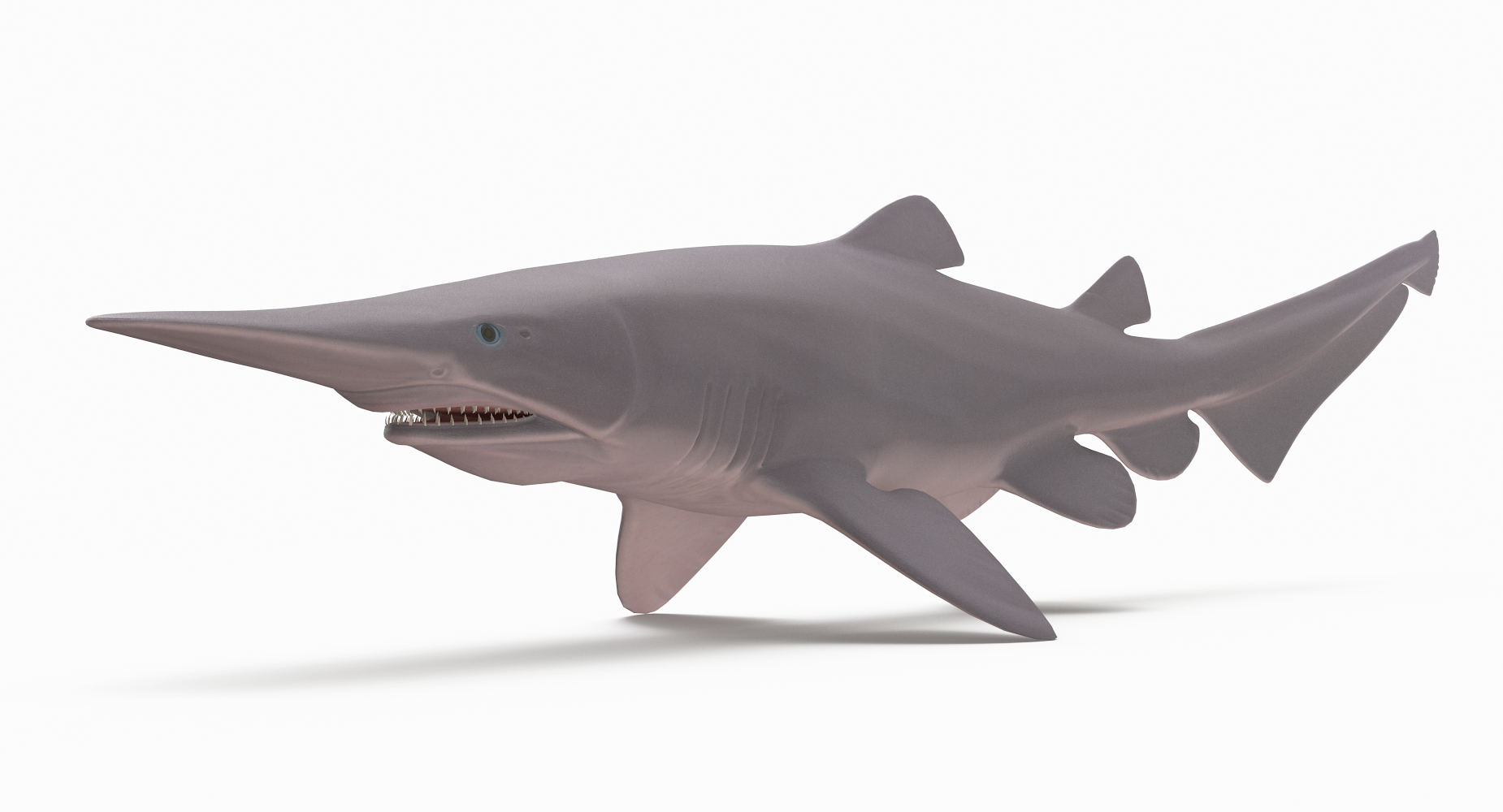 Koboldhai 3D-Modell - TurboSquid 1417221