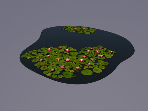 3D water pond lily pads model - TurboSquid 1417355