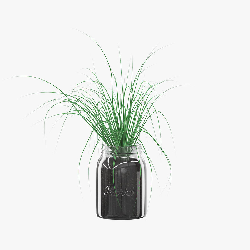 3D model chives glass jar - TurboSquid 1417366