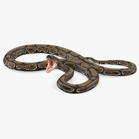 super ball python 3d max