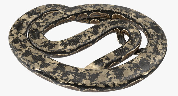3D brown python snake rigged model - TurboSquid 1417834