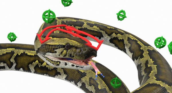 3D model green python snake rigged - TurboSquid 1417659