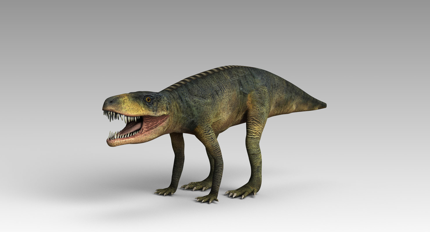 Batrachotomus 3D model - TurboSquid 1418465