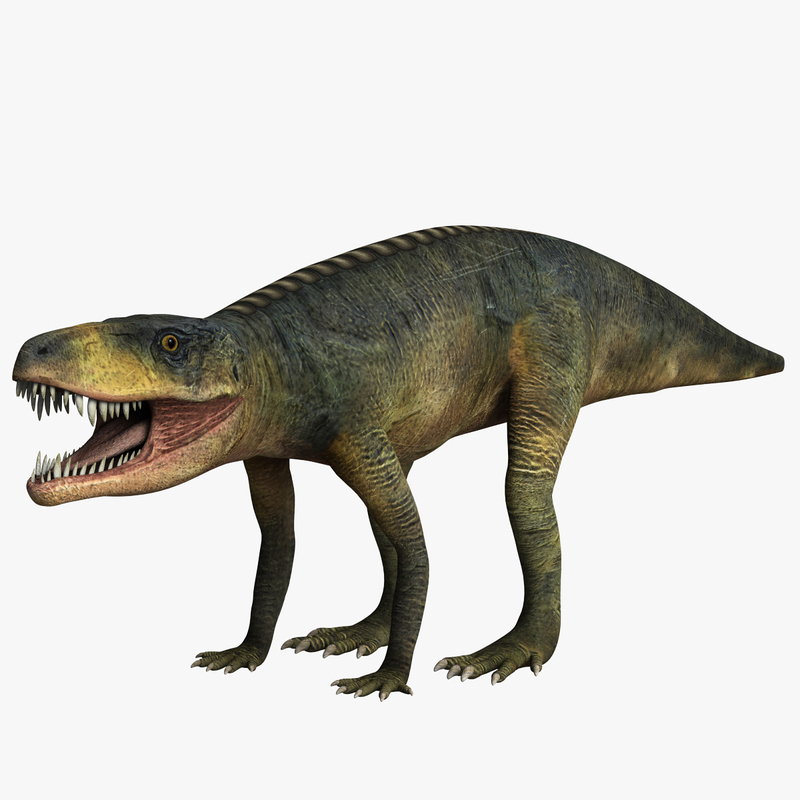 Batrachotomus Modelo 3D - TurboSquid 1418465