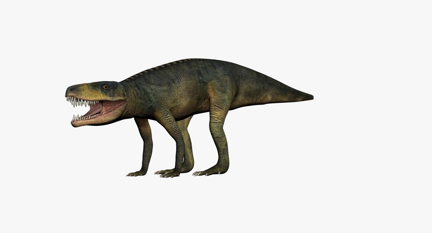 Batrachotomus 3D model - TurboSquid 1418465