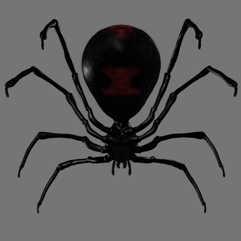 Red spider animation 3D model - TurboSquid 1418667