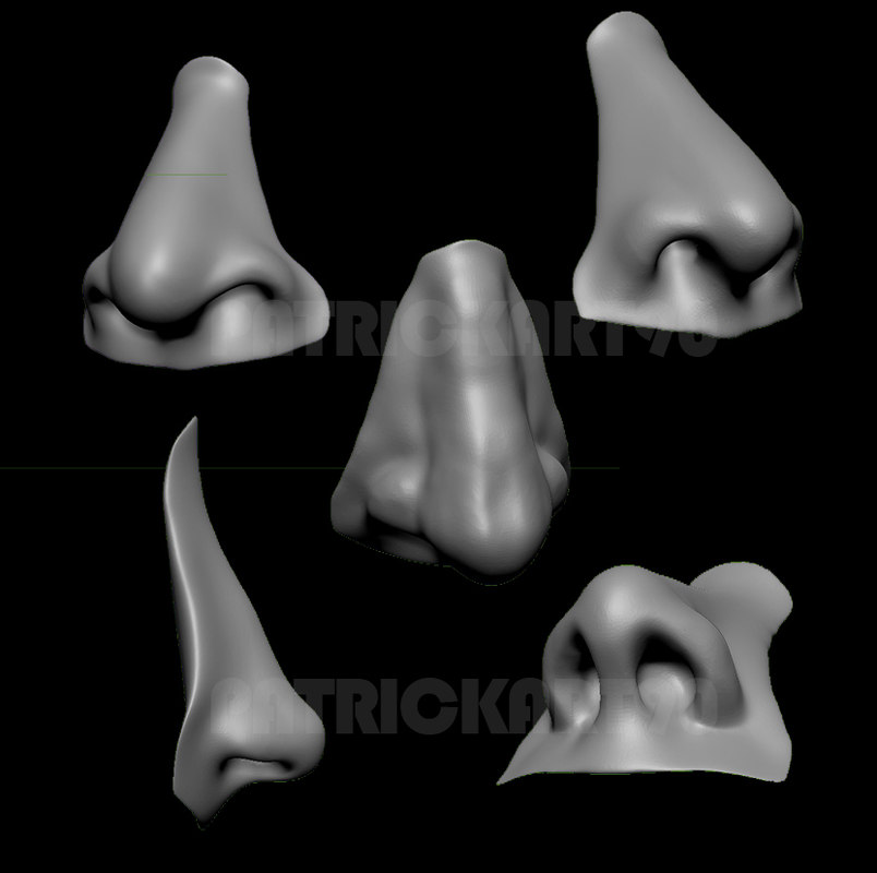 3D 20 noses model - TurboSquid 1418751