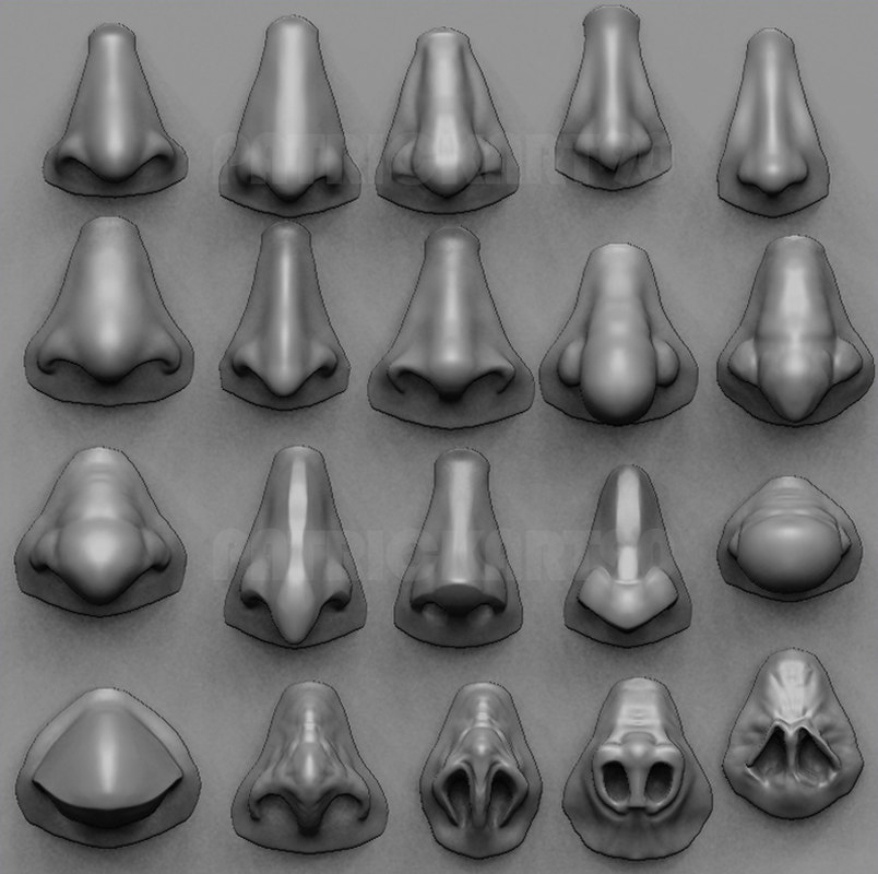 3D 20 noses model - TurboSquid 1418751