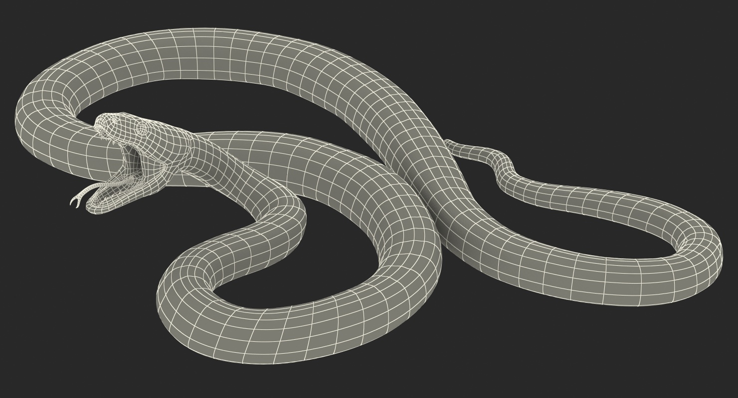 3D snakes 3 model - TurboSquid 1418885