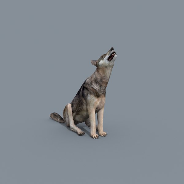 modelo 3d My Wolf - 3d modelo de lobo animado - TurboSquid 1419003