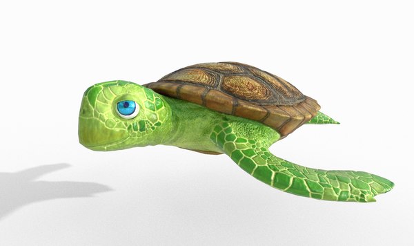 cartoon shell 3d model
