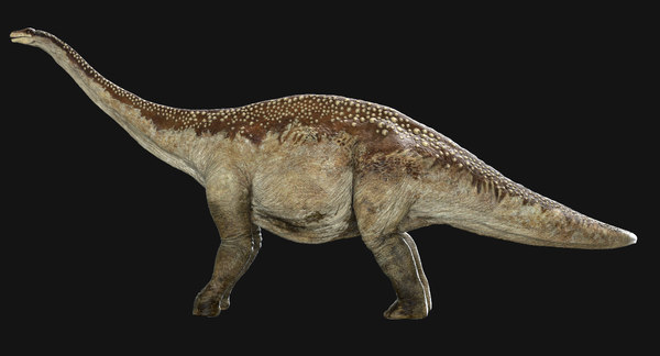 V-ray rig 3D model - TurboSquid 1419078