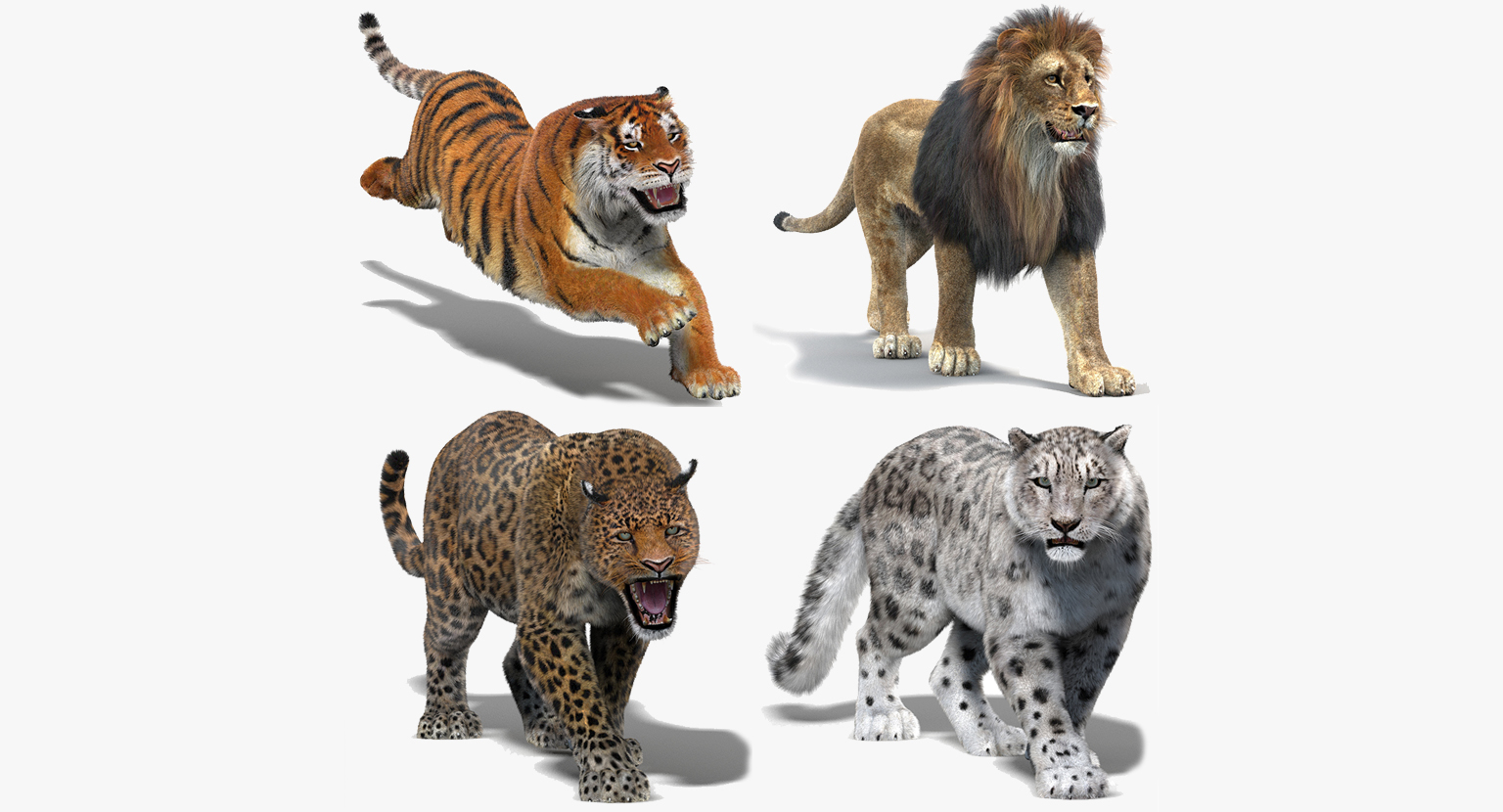 3D model big cats fur - TurboSquid 1328328