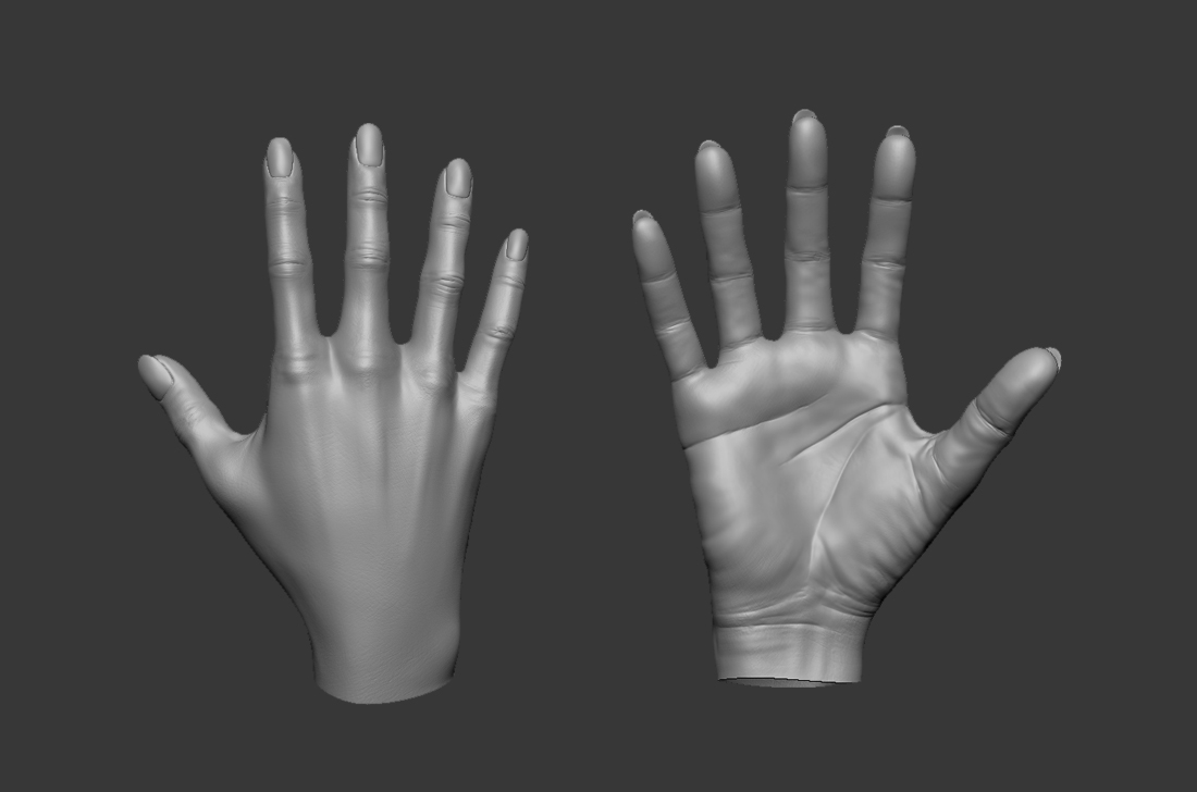 여성 손 3D 모델 3D 모델 - TurboSquid 1419293