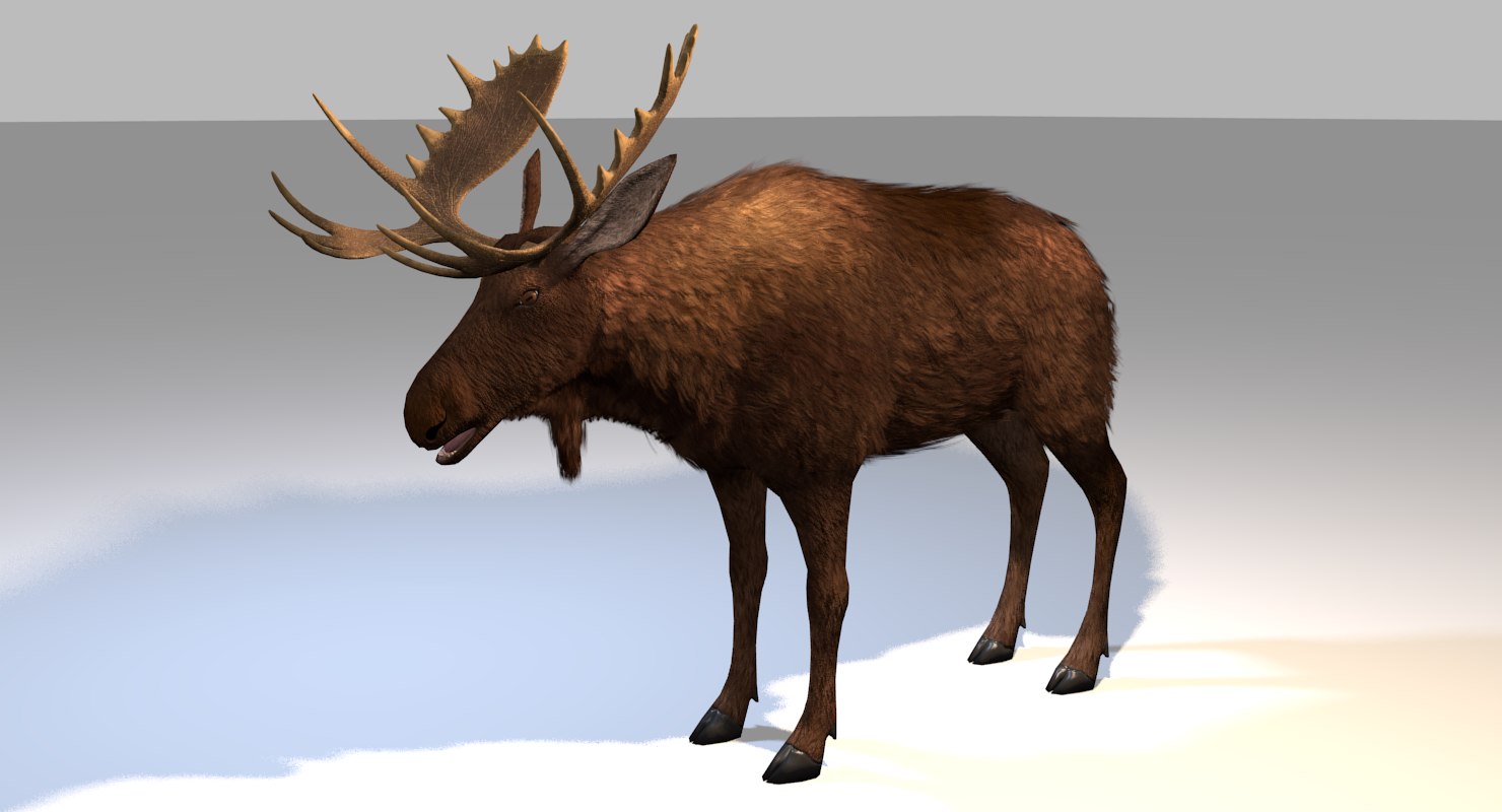 Ready moose 3D model - TurboSquid 1253495