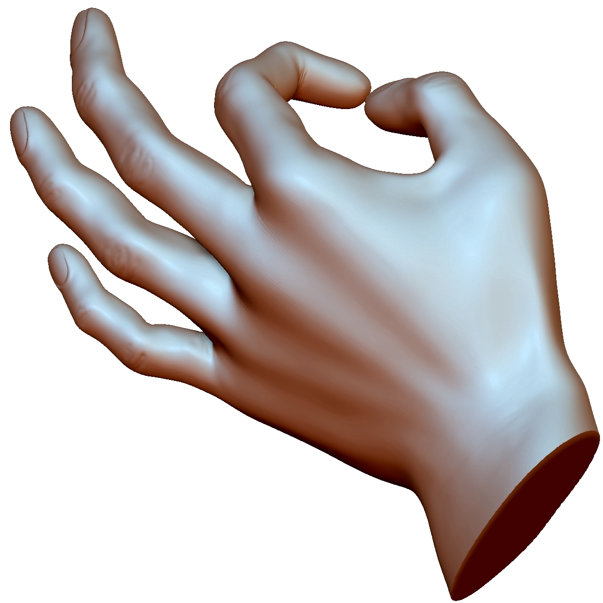 Male hand ok okay 3D model - TurboSquid 1393656