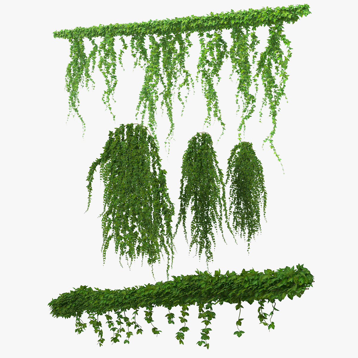 Ivy branches hanging 3D model - TurboSquid 1420458