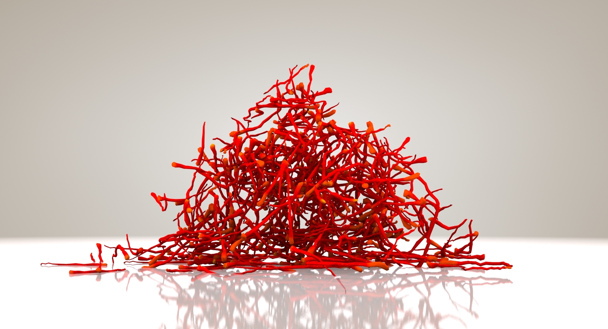 Saffron stigma 3D - TurboSquid 1420492