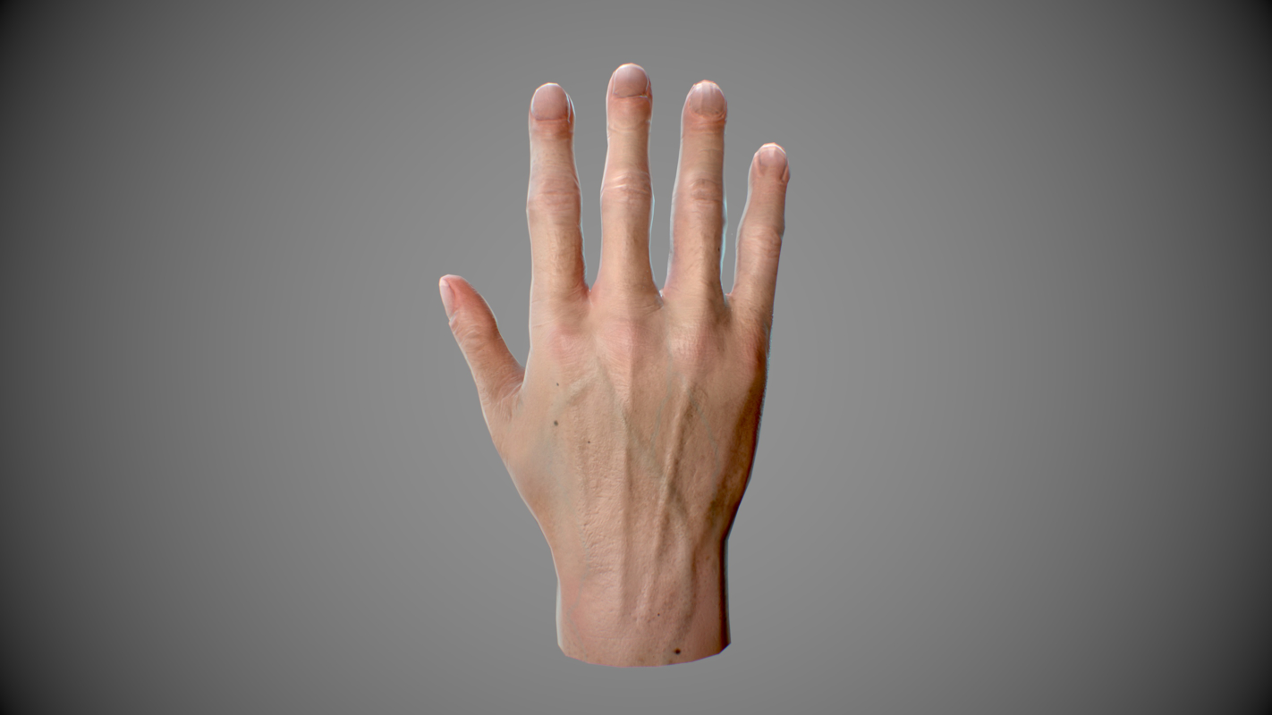 Rigged Hand Maya Models for Download | TurboSquid