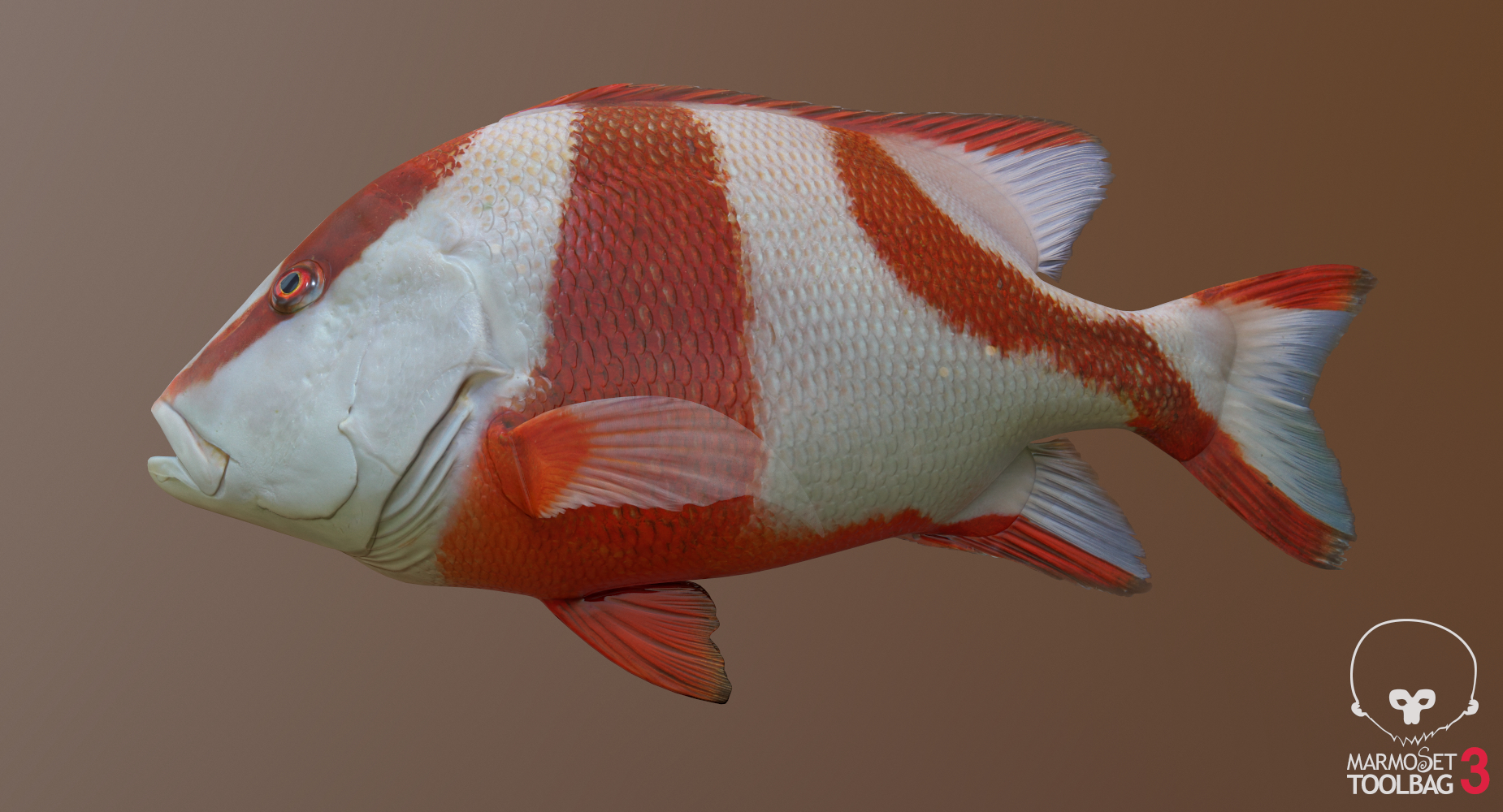 3D model red emperor snapper - TurboSquid 1421772