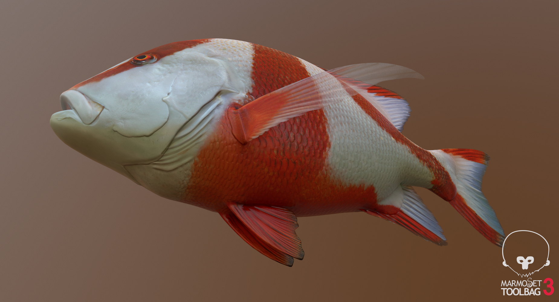3D model red emperor snapper - TurboSquid 1421772