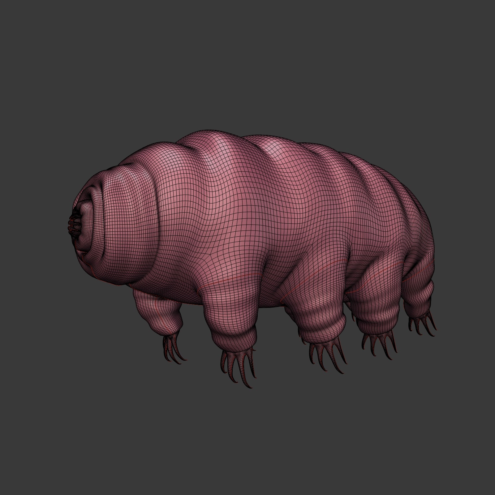 modelo 3d Oso de agua microscópico - TurboSquid 1383792