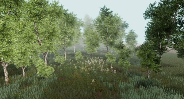 Tree Unity 3D Models for Download | TurboSquid