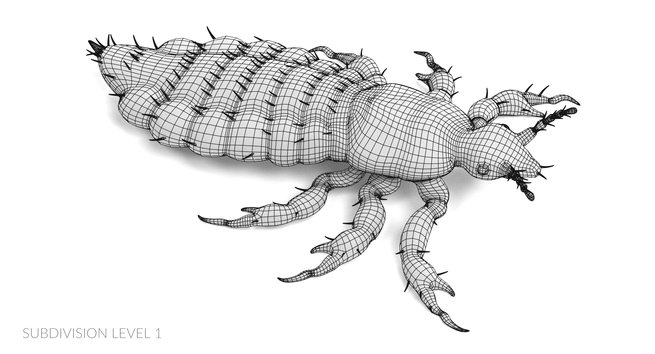 Head louse male model - TurboSquid 1422998