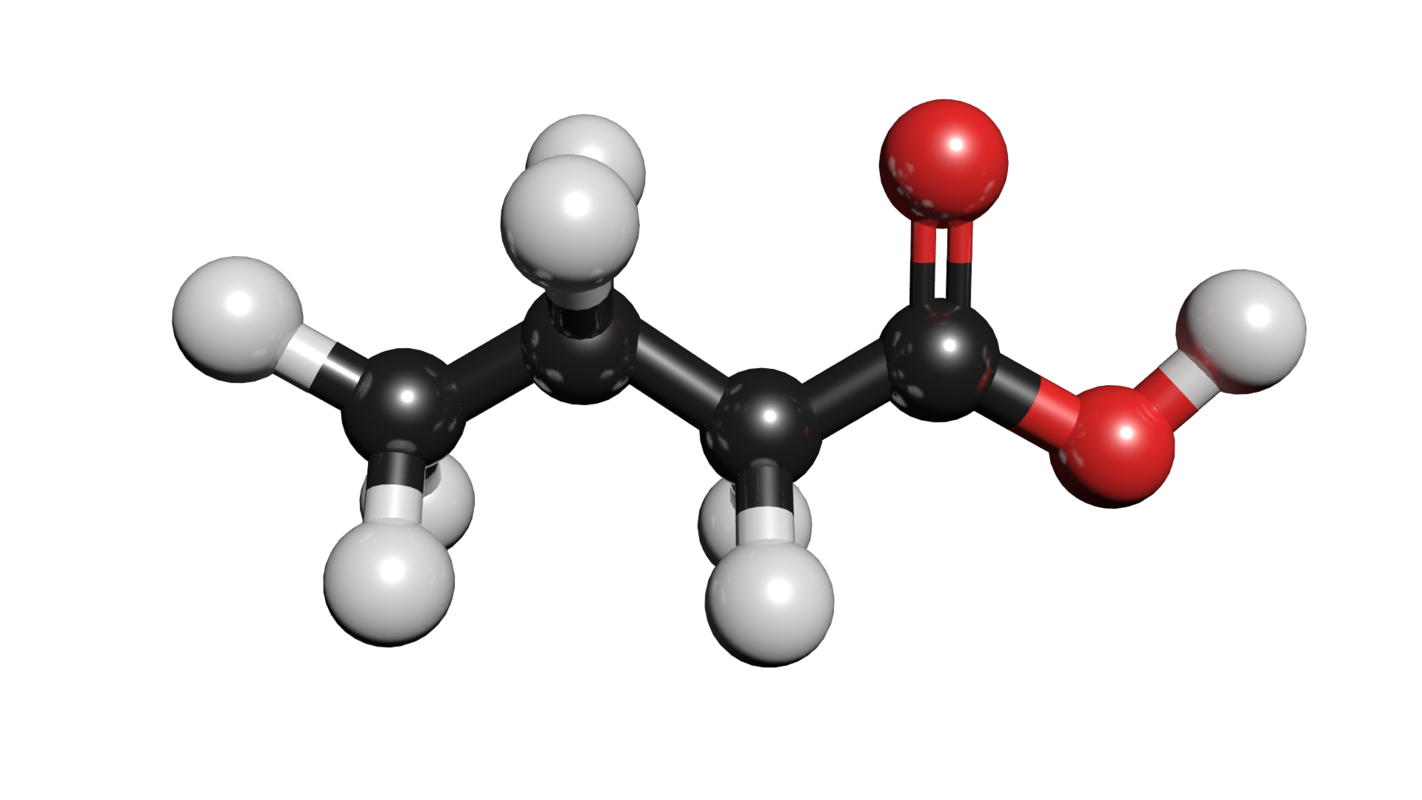 3D c4h8o2 butyric acid model - TurboSquid 1423470