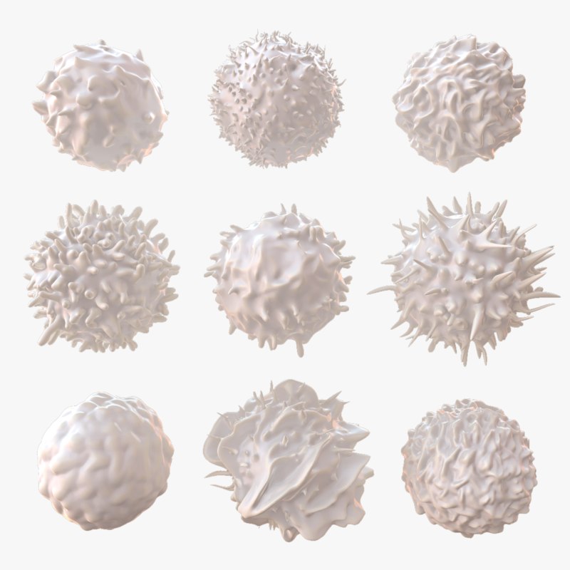 3D lymphocytes model - TurboSquid 1423557